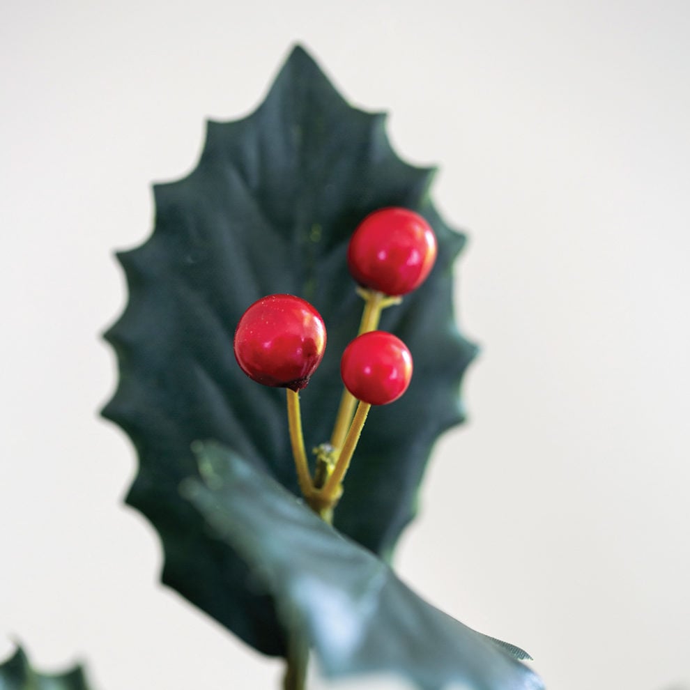 Holly Stem - Grand Illusions Wholesale
