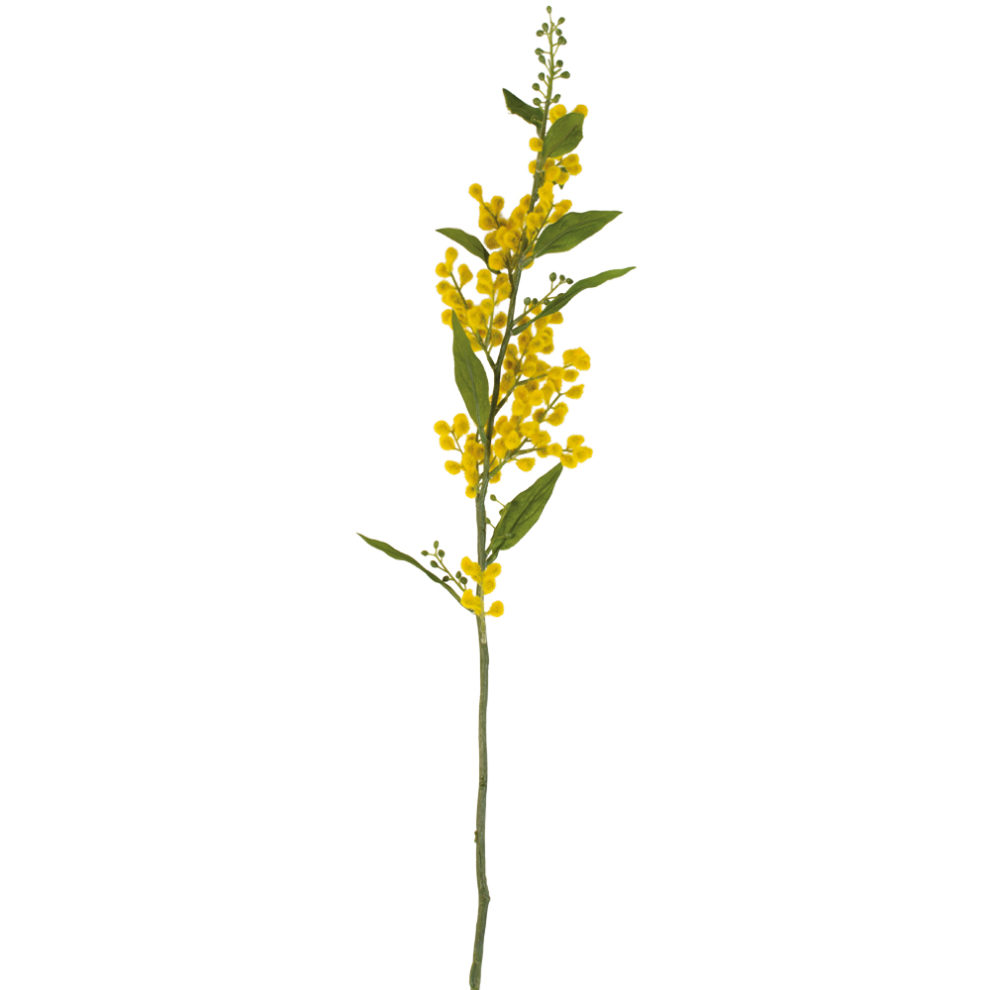 Mimosa Spray - Grand Illusions Wholesale