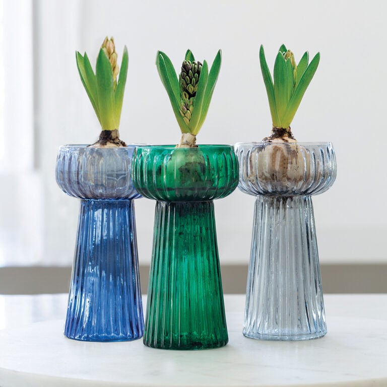 Ribbed Hyacinth Vase Clear - Grand Illusions Wholesale