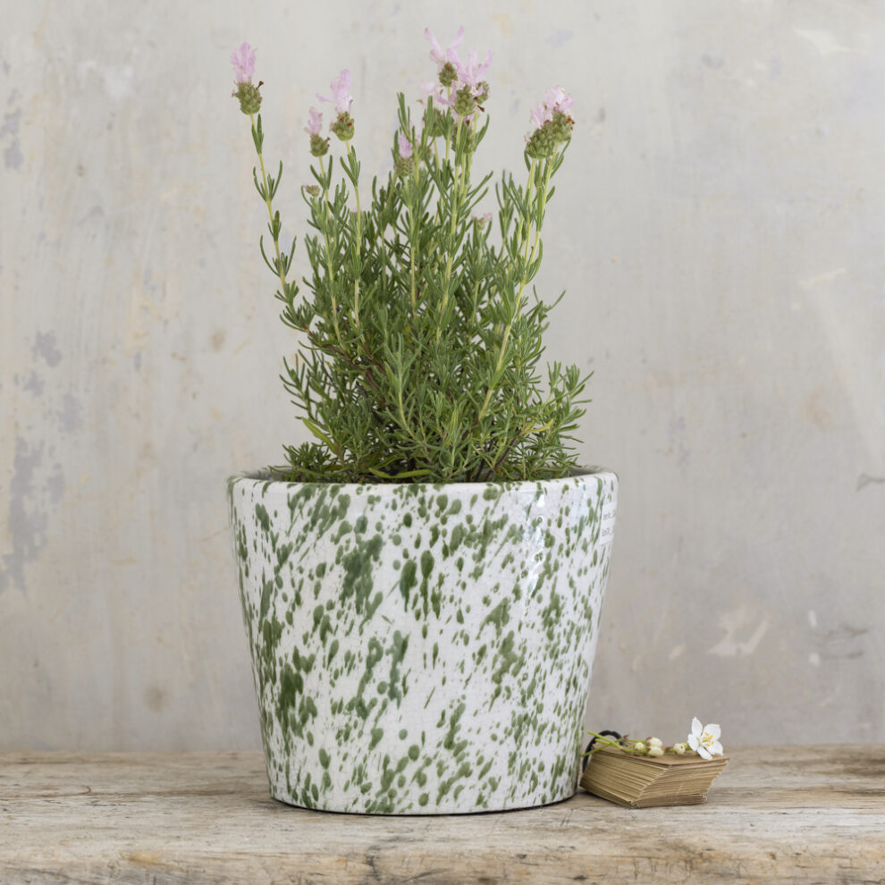 Old Style Dutch Pot Green Splatter Large - Grand Illusions Wholesale